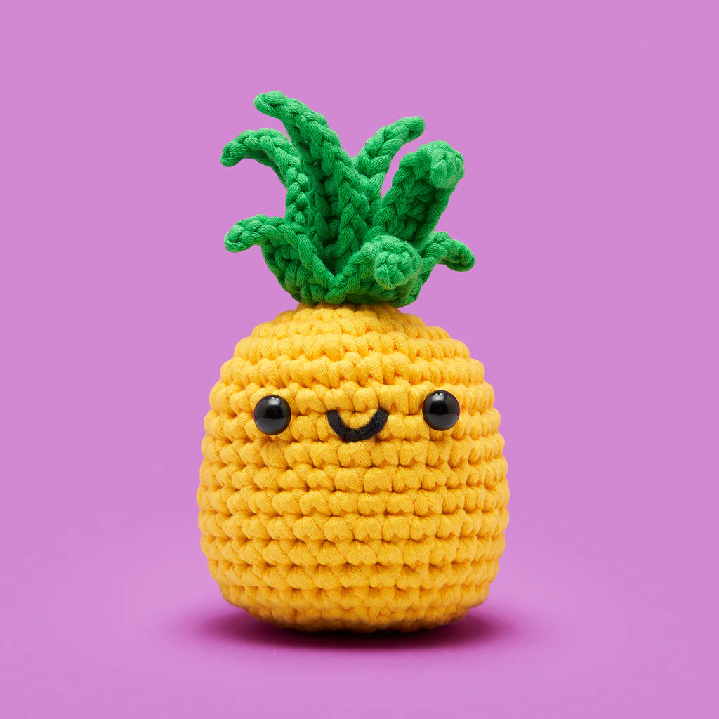 Pinya the Pineapple Crochet Kit – Turner Toys