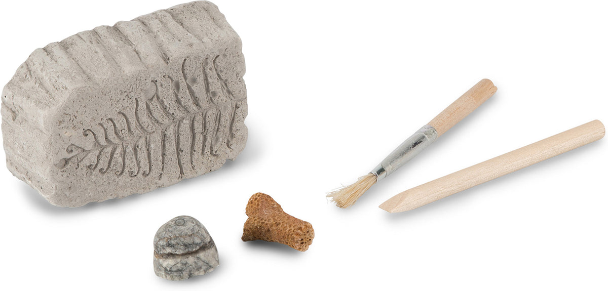 Fossil Dig Paleontology Kit – Turner Toys